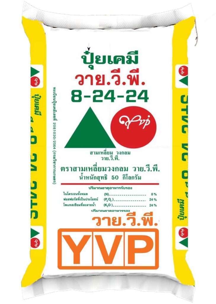8-24-24 ปุ๋ยซัลเฟตทุเรียน ใส่ตอนไหน ช่วยบำรุงอะไร - YVP GROUP