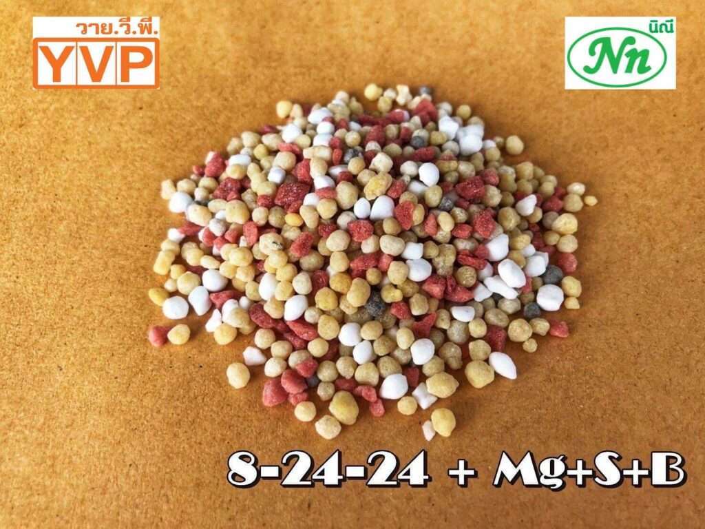 8-24-24 ปุ๋ยซัลเฟตทุเรียน ใส่ตอนไหน ช่วยบำรุงอะไร - YVP GROUP