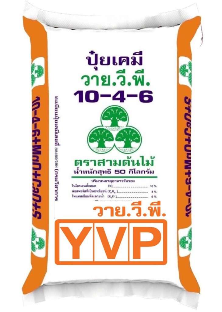 ตารางการปลูก การใส่ปุ๋ยข้าวโพด ทุกช่วงอายุ ให้ฝักใหญ่ - YVP GROUP