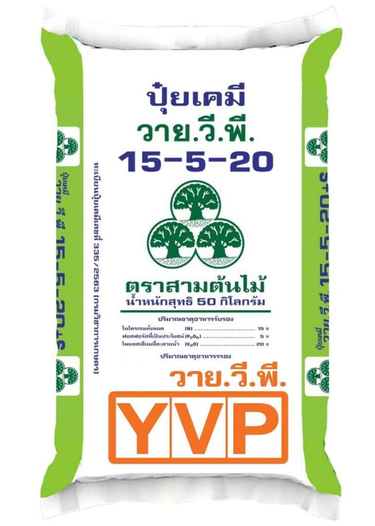 สูตรปุ๋ยรับรวงข้าว ช่วงข้าวตั้งท้อง ใส่สูตรไหน ให้ผลผลิตดี - YVP GROUP