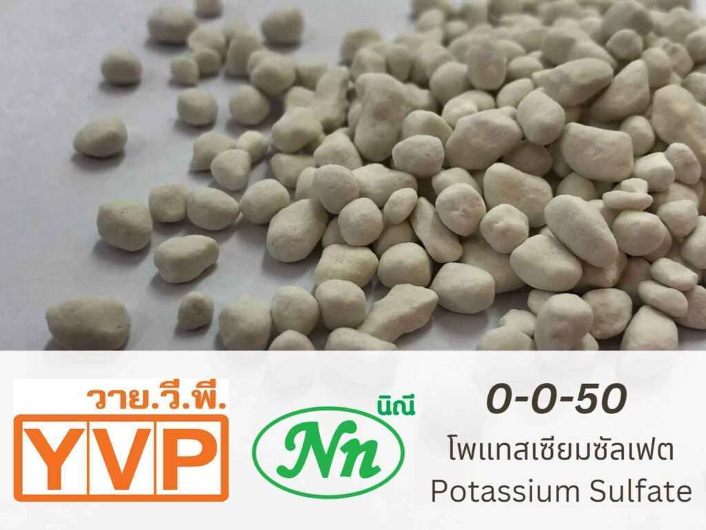 การใช้งาน ปุ๋ยซัลเฟตแท้ 100% ในทุเรียน และ พืชต่างๆ - YVP GROUP