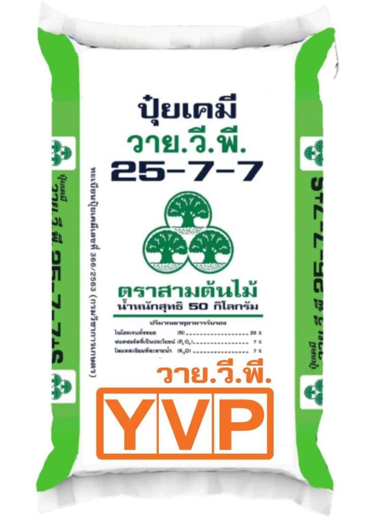 ปุ๋ยเร่งใบ เร่งต้น แตกกอ Archives - YVP GROUP