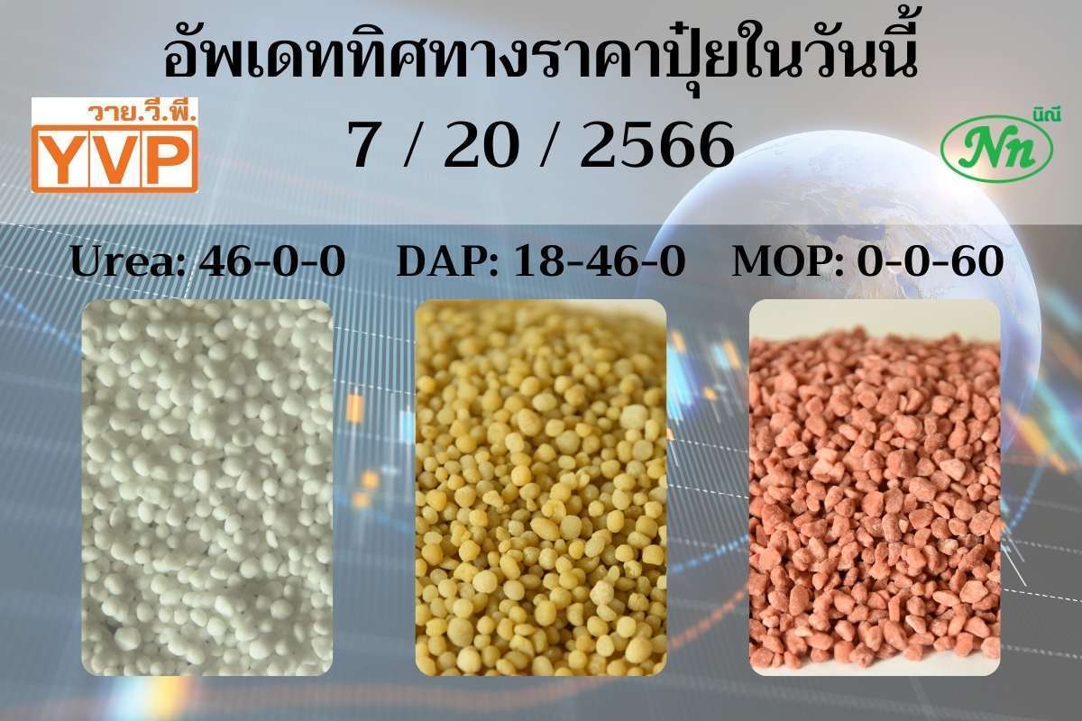 อัพเดทข้อมูล ทิศทาง ราคาปุ๋ยล่าสุดวันนี้ 2566 - YVP GROUP