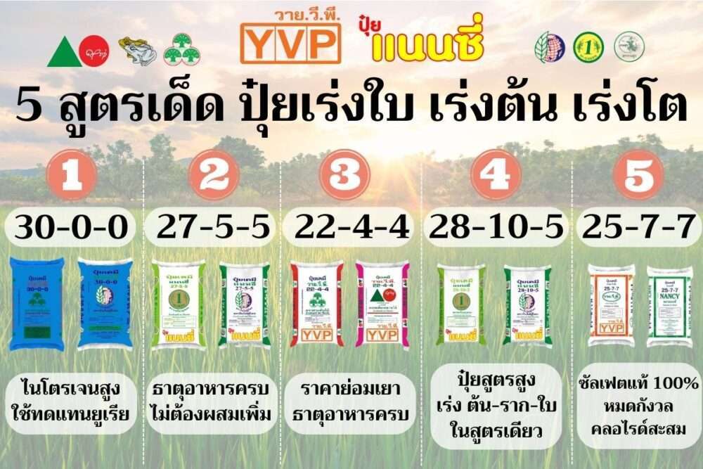 5 สูตรปุ๋ย เร่งใบ เร่งต้น ใบเขียว ต้นโตเร็ว สมบูรณ์แข็งแรง - YVP GROUP