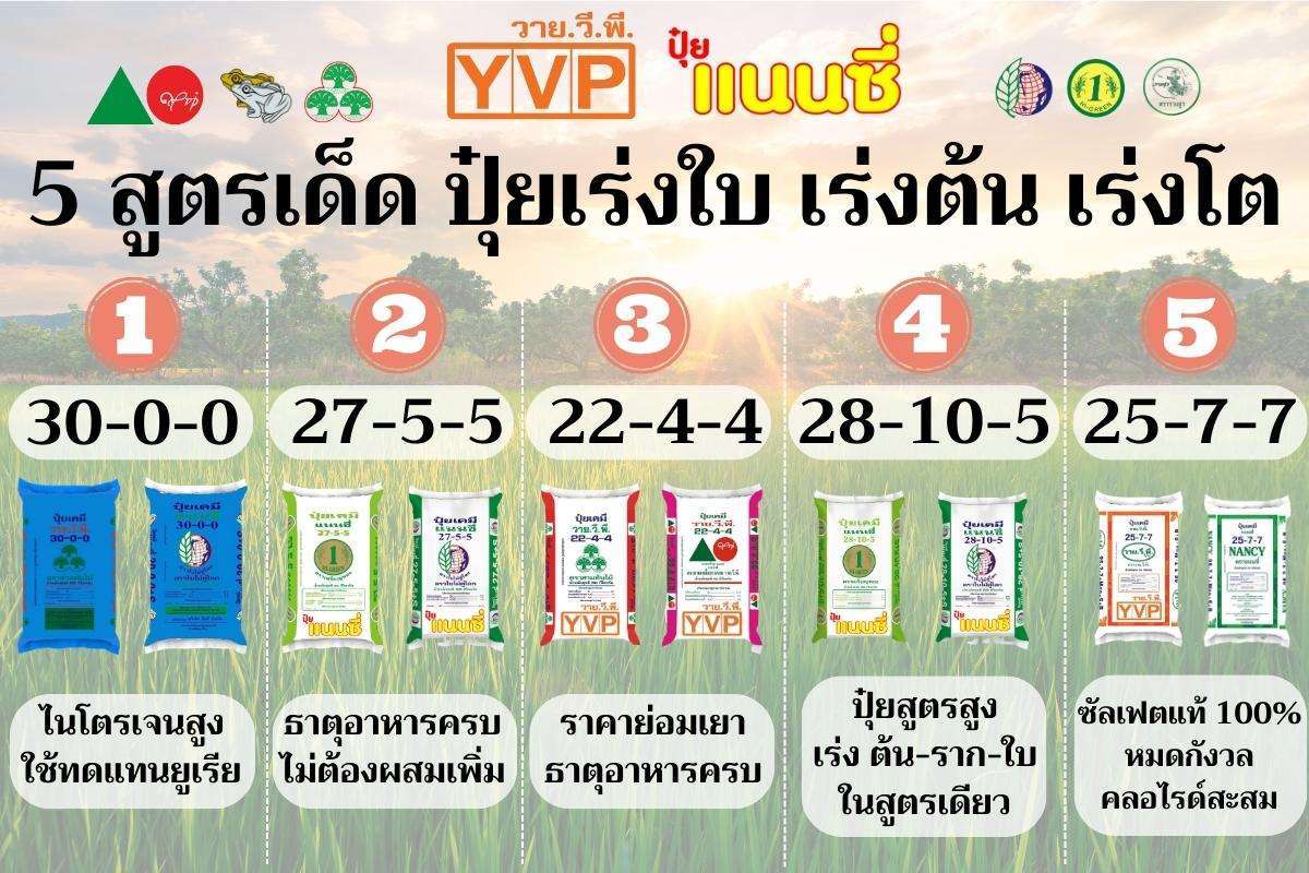 5 สูตรปุ๋ย เร่งใบ เร่งต้น ใบเขียว ต้นโตเร็ว สมบูรณ์แข็งแรง - YVP GROUP