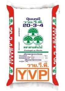 ตารางการใส่ปุ๋ยอ้อย อ้อยใหม่ อ้อยตอ ลำใหญ่ ผลผลิตสูง - YVP GROUP