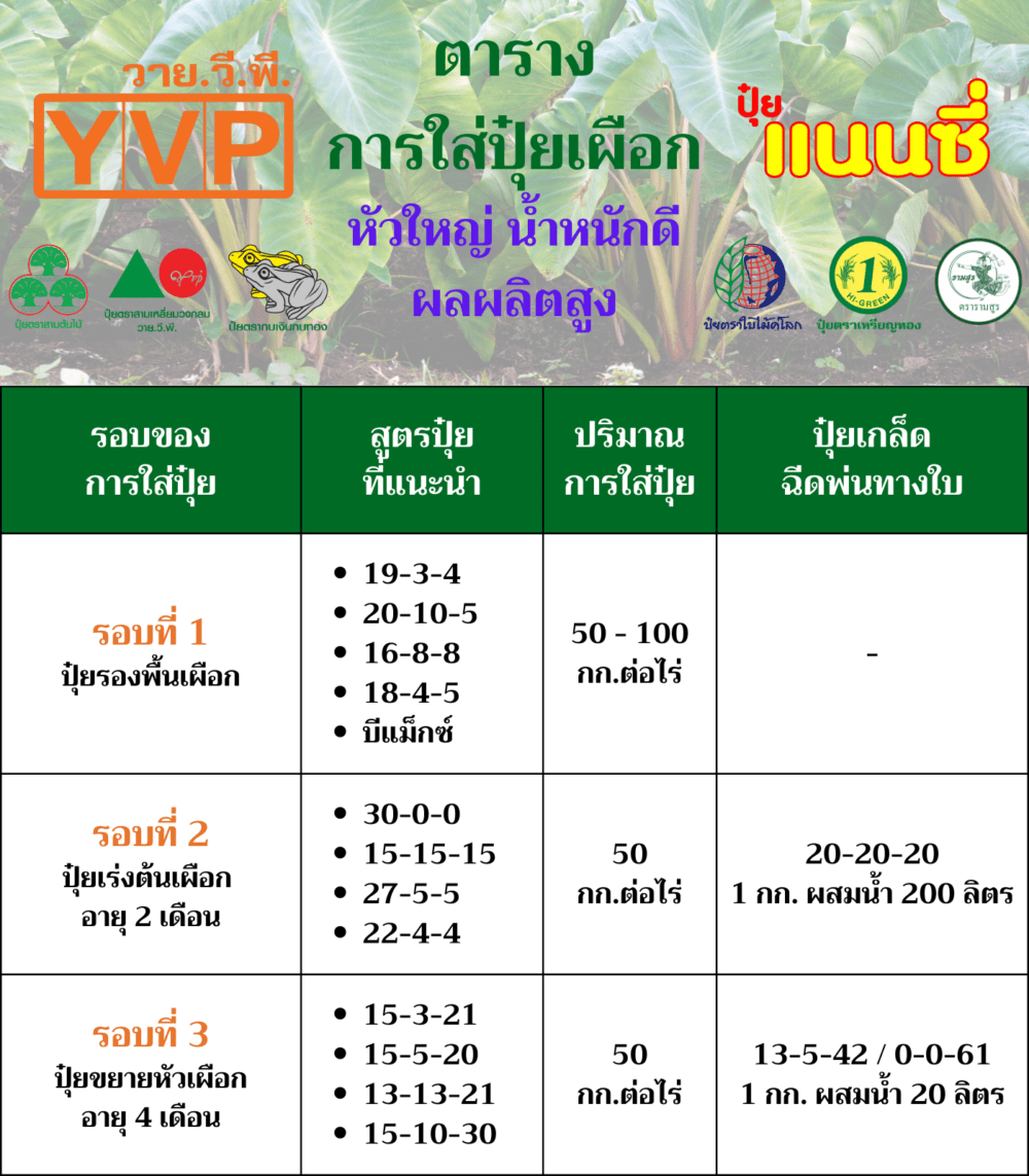 ข้อมูลเกษตรน่ารู้ Archives - YVP GROUP