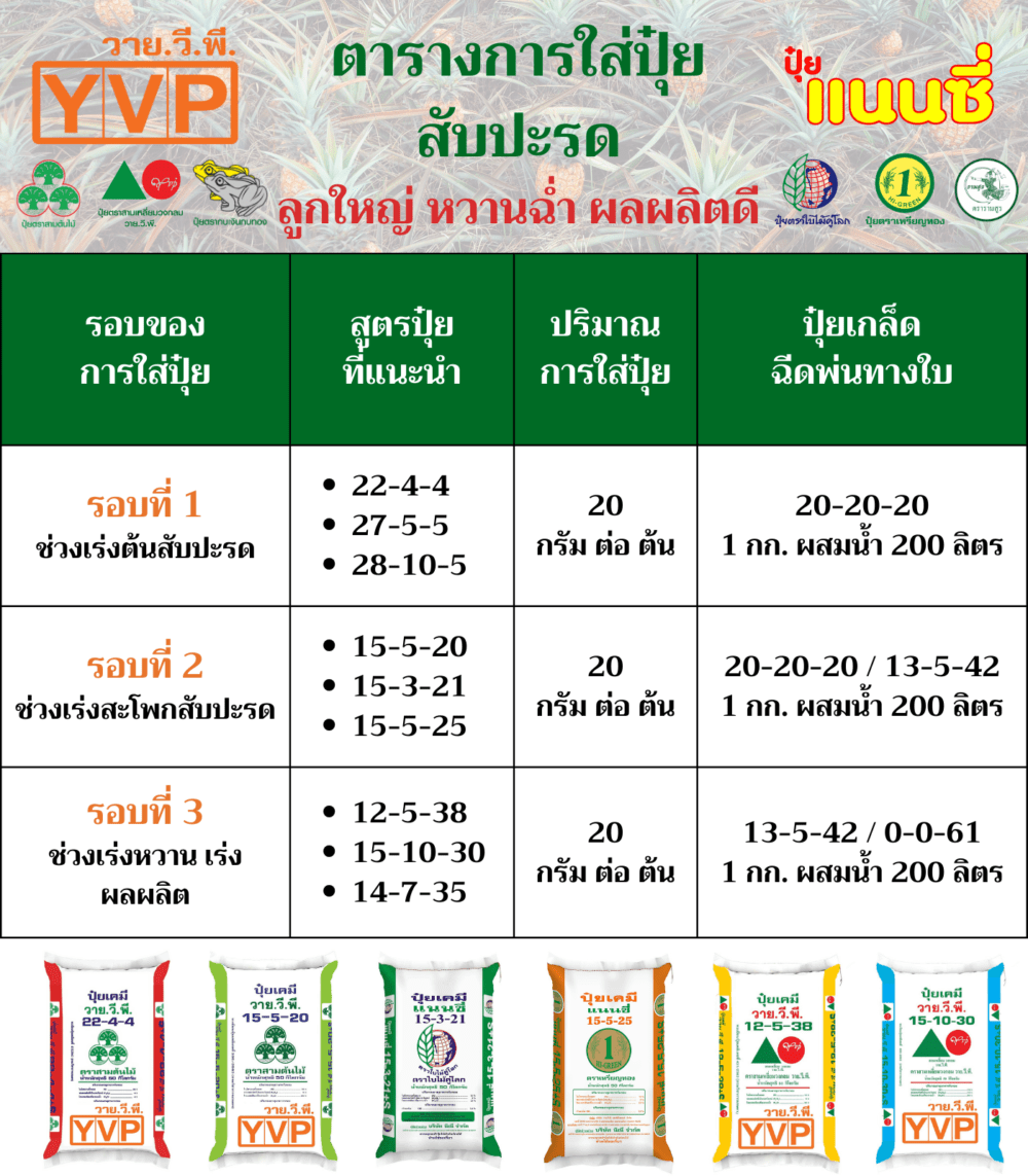 ข้อมูลเกษตรน่ารู้ Archives - YVP GROUP