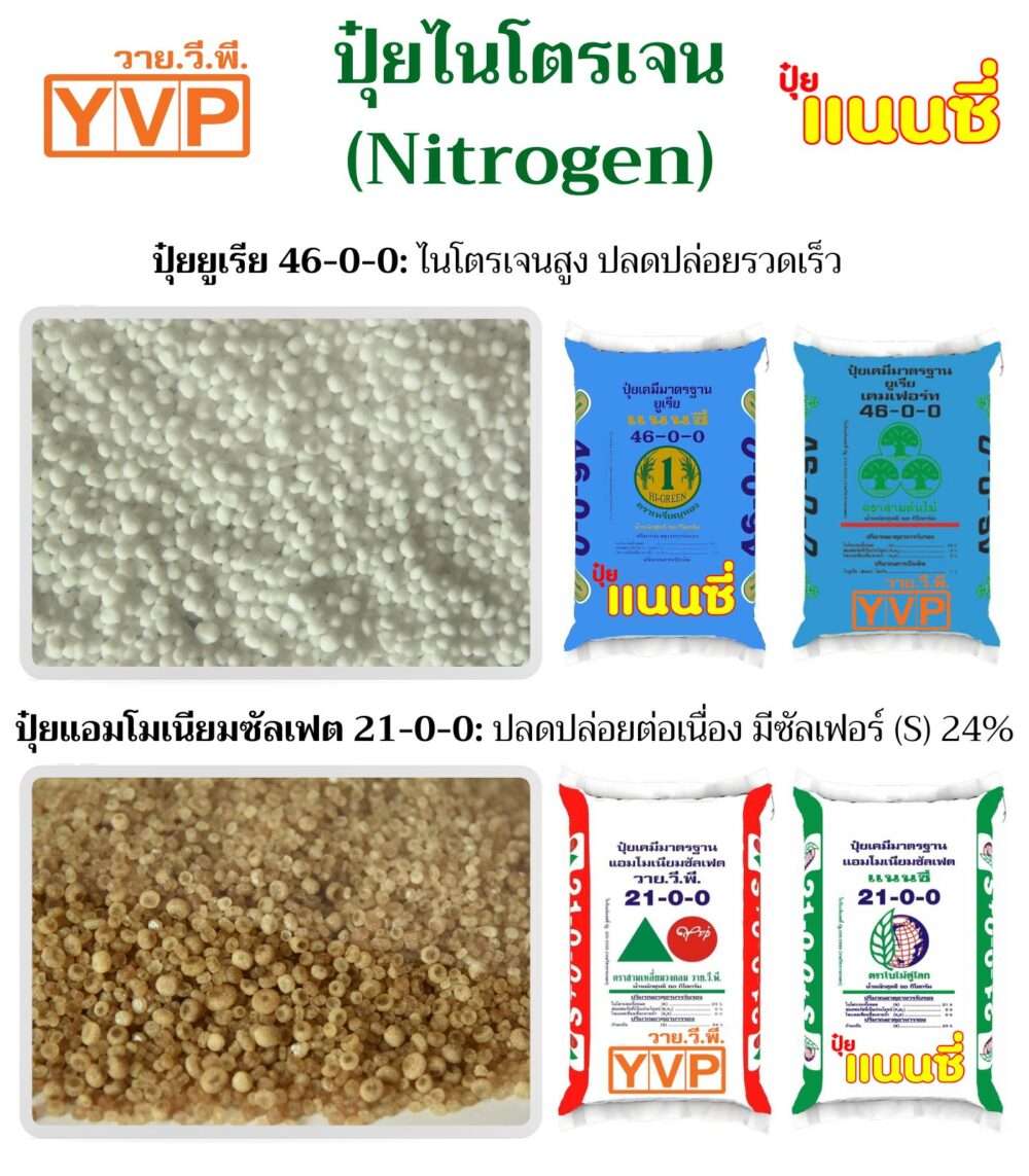 ปุ๋ยไนโตรเจน คืออะไร ได้จากอะไร ช่วยอะไร มีสูตรใดบ้าง - YVP GROUP